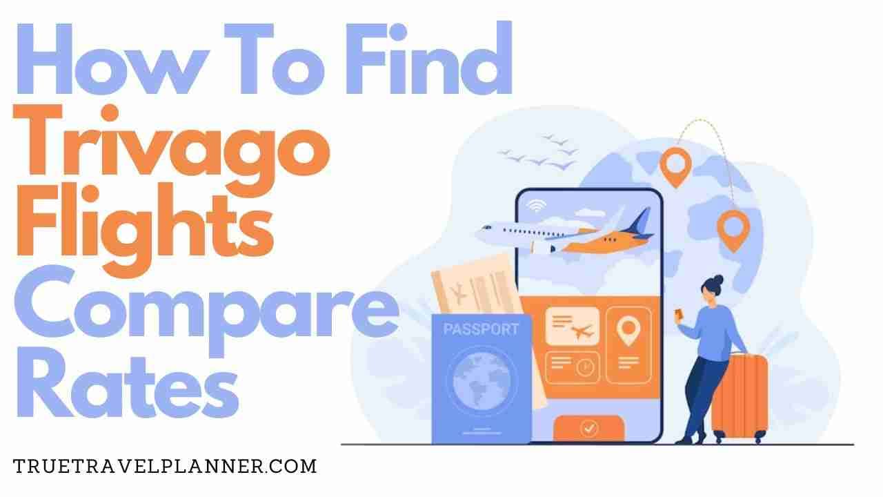 Find Trivago Hotels And Flights Compare Rates 80 Off Free